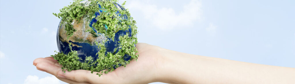 What is PLA Coated Paper ?(Everything you need to know)