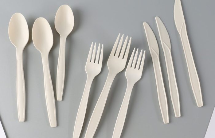 PLA Food Packaging:Everything You Need to Know (2023 Update)